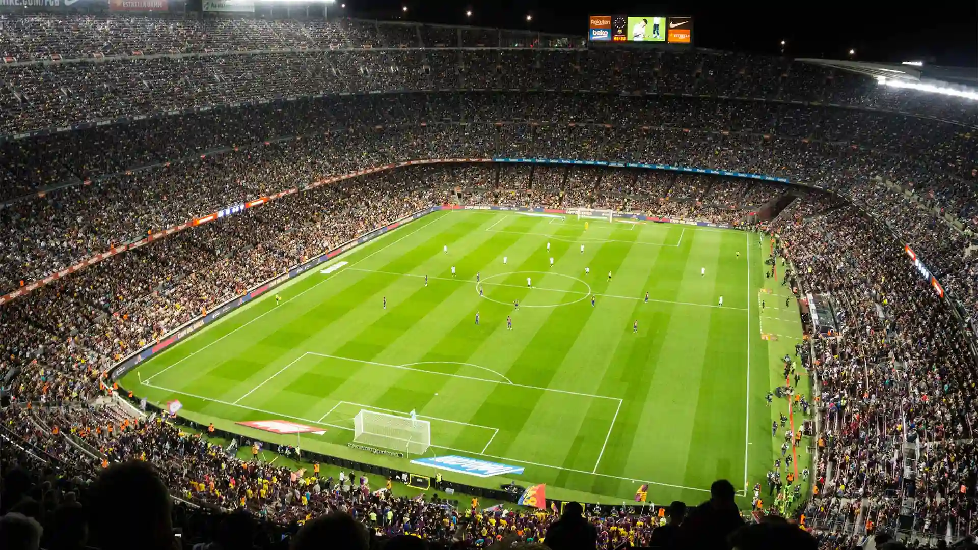 Sport Invest | I creatori dell'investimento sportivo | Sport Invest